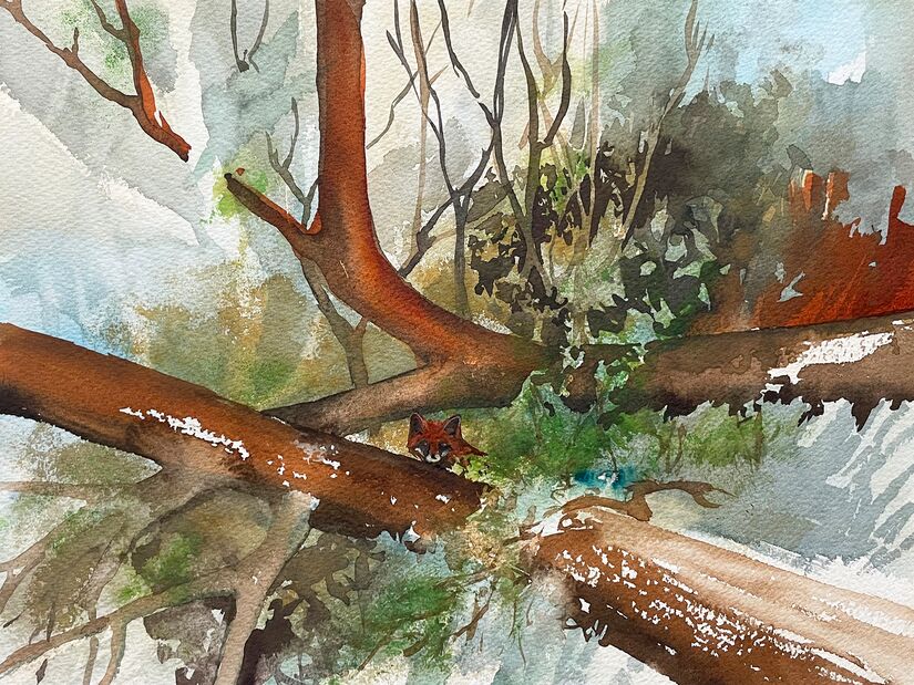Fuchs – Wald – Aquarell - Malen am Meer®