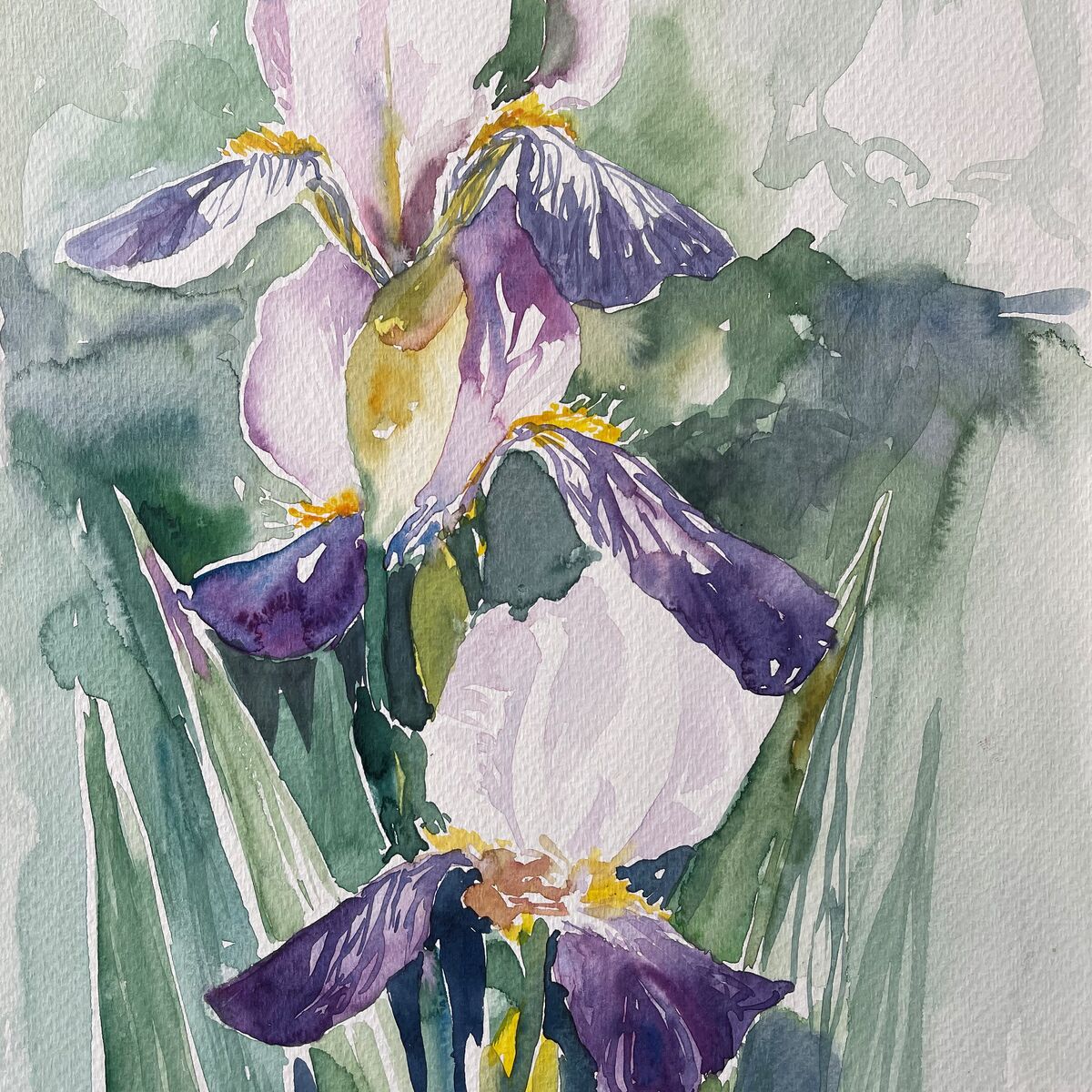 Iris oder Schwertlilie in Lila – Aquarell - Malen am Meer®